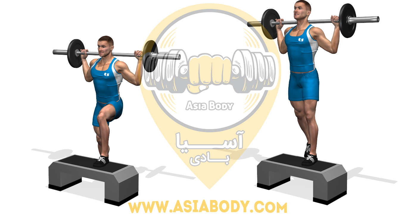 چهارسر ران - عضلات درگیر - حرکات ورزشی آسیابادی ، در بانک اطلاعاتی ...