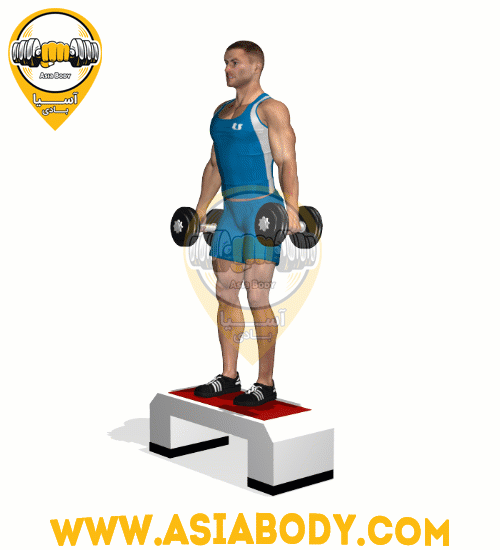 استپ آپ دمبل Step Up - آسیابادی