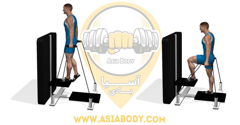 چهارسر ران - عضلات درگیر - حرکات ورزشی آسیابادی ، در بانک اطلاعاتی ...